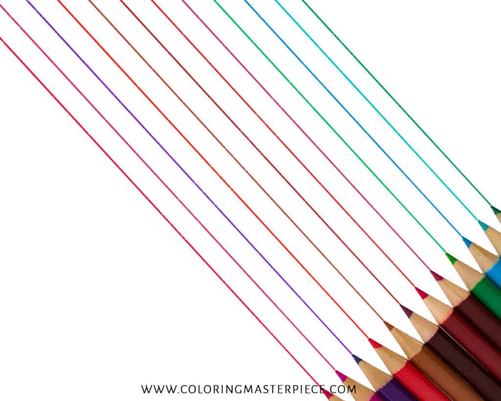 Are Polychromos Better than Prismacolor? Polychromos Vs Prismacolor ...