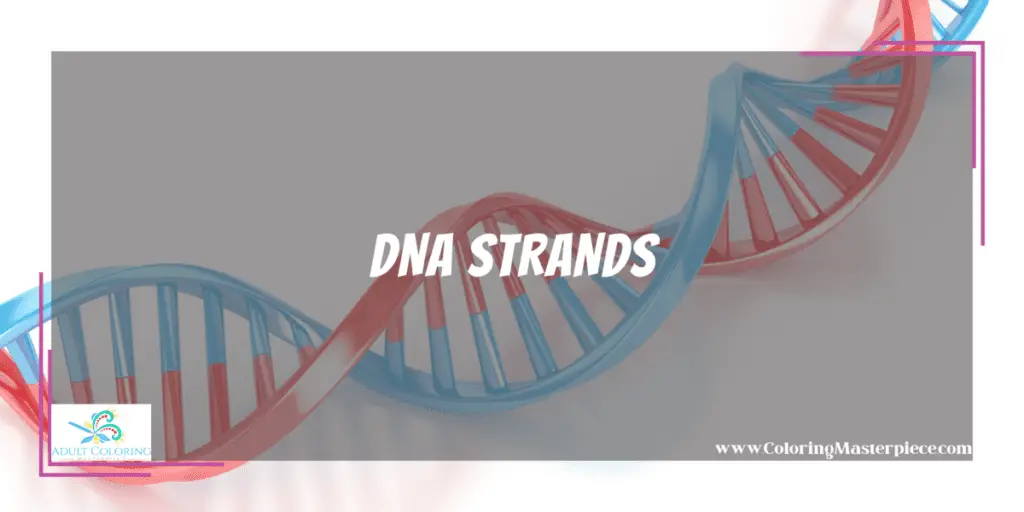 Science Coloring Pages for Adults - Adult Coloring Masterpiece